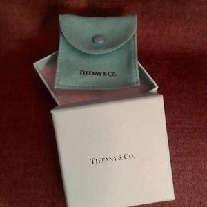 Tiffany & Co. | Accessories | Classic Aqua Tiffany Box W Suede Jewelry ...